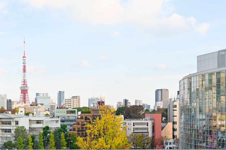 Basic Information of Tokyo Area